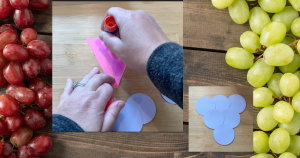 The Sour Grape - Story Time Craft