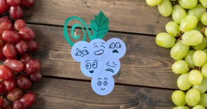 The Sour Grape - Story Time Craft