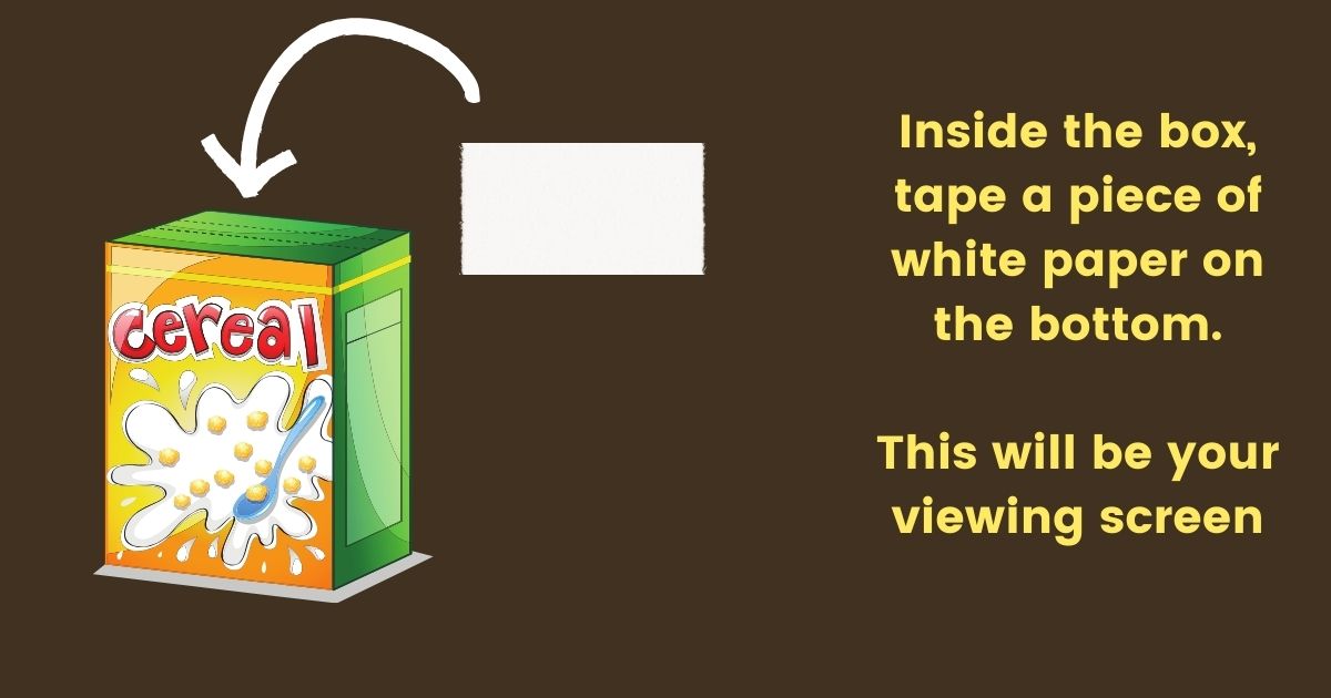 Total Eclipse SOLARbration - Story Time Craft